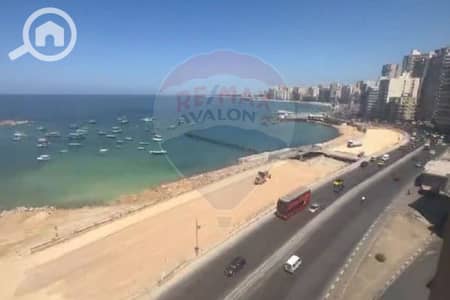 25,000EGP/monthly apartment for Rent | Miami, Alexandria | 1 images ...